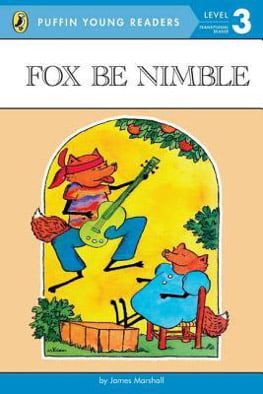 Fox Be Nimble Level 3