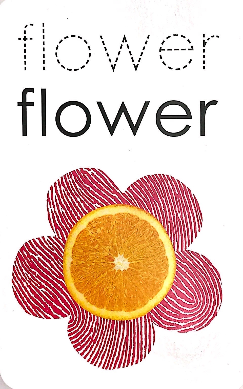 Alphaprints Wipe Clean Flash Cards Words