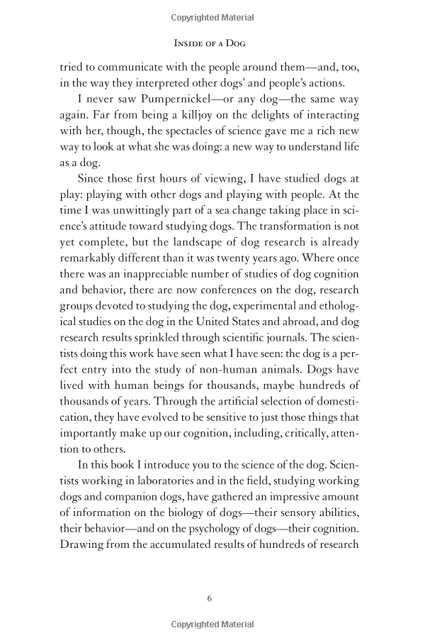 Inside of a Dog - FAHASA.COM