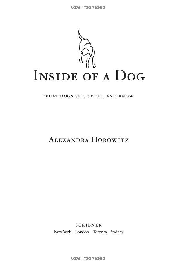 Inside of a Dog - FAHASA.COM