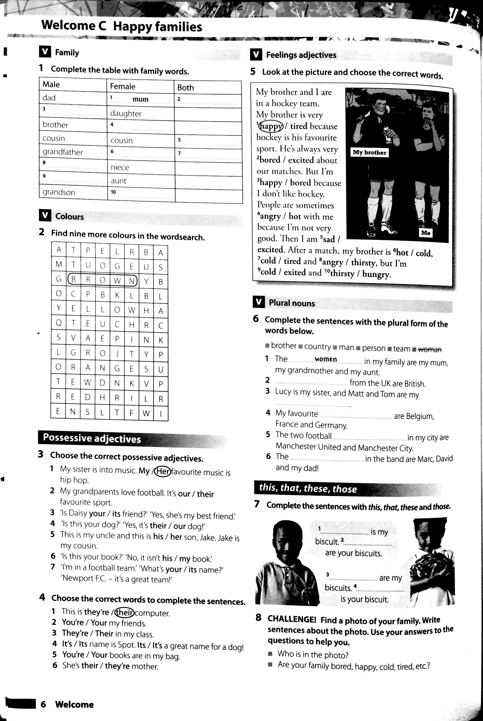 Insight Elementary: Workbook