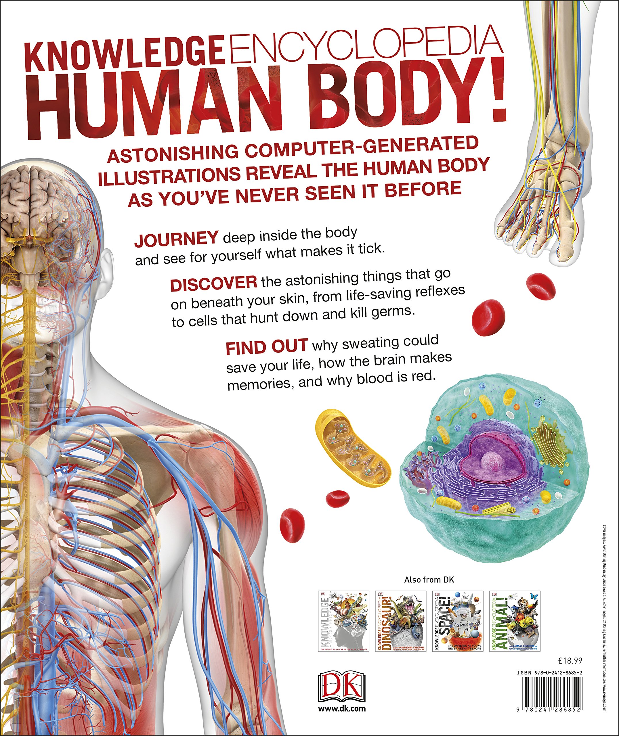 Knowledge Encyclopedia Human Body knowledge-encyclopedia-human-body