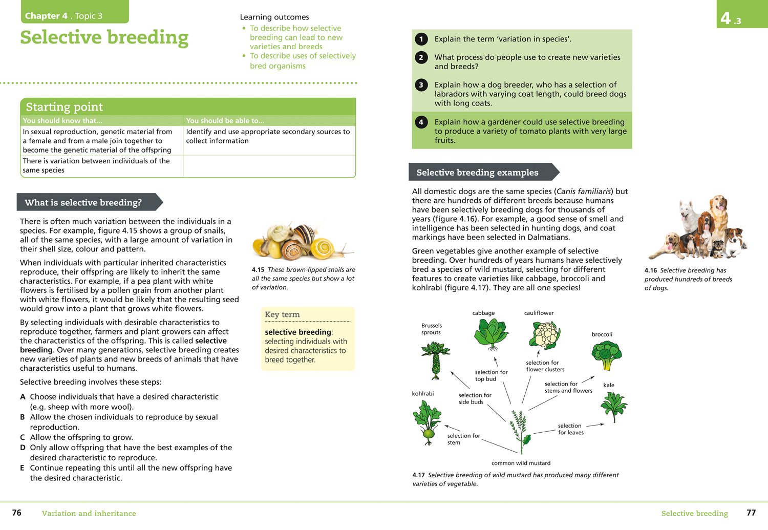 Lower Secondary Science Student’s Book: Stage 9 (Collins Cambridge ...