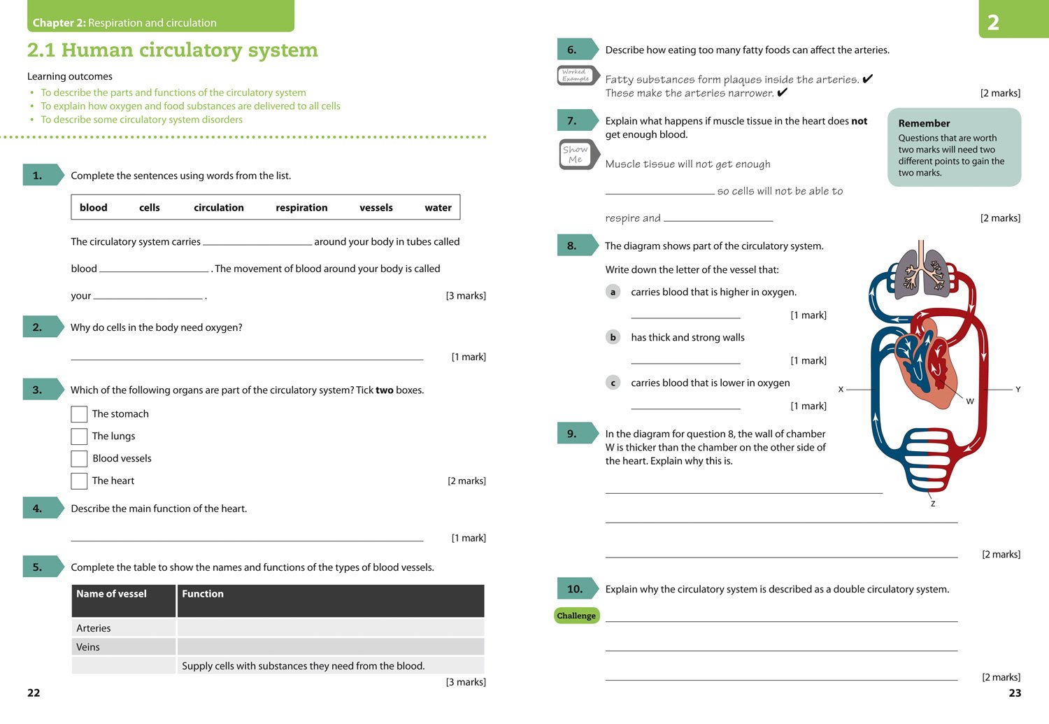 Lower Secondary Science Workbook: Stage 8 (Collins Cambridge Lower ...