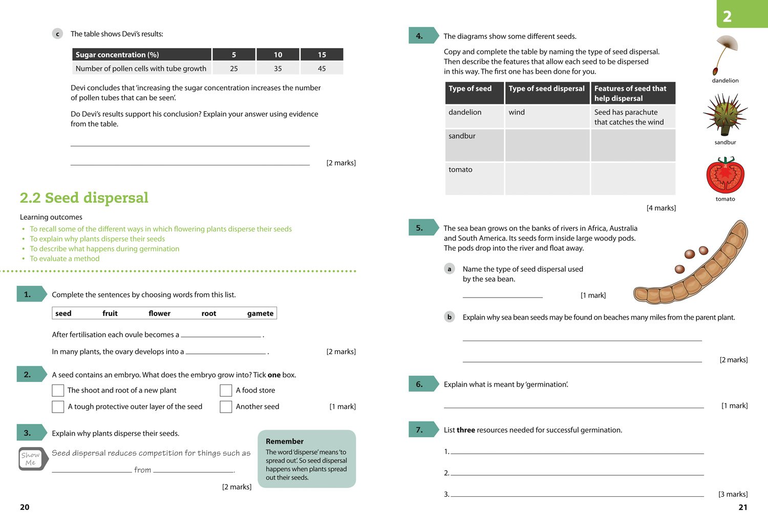 Lower Secondary Science Workbook: Stage 9 (Collins Cambridge Lower ...