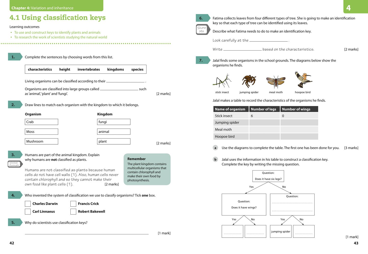 Lower Secondary Science Workbook: Stage 9 (Collins Cambridge Lower ...