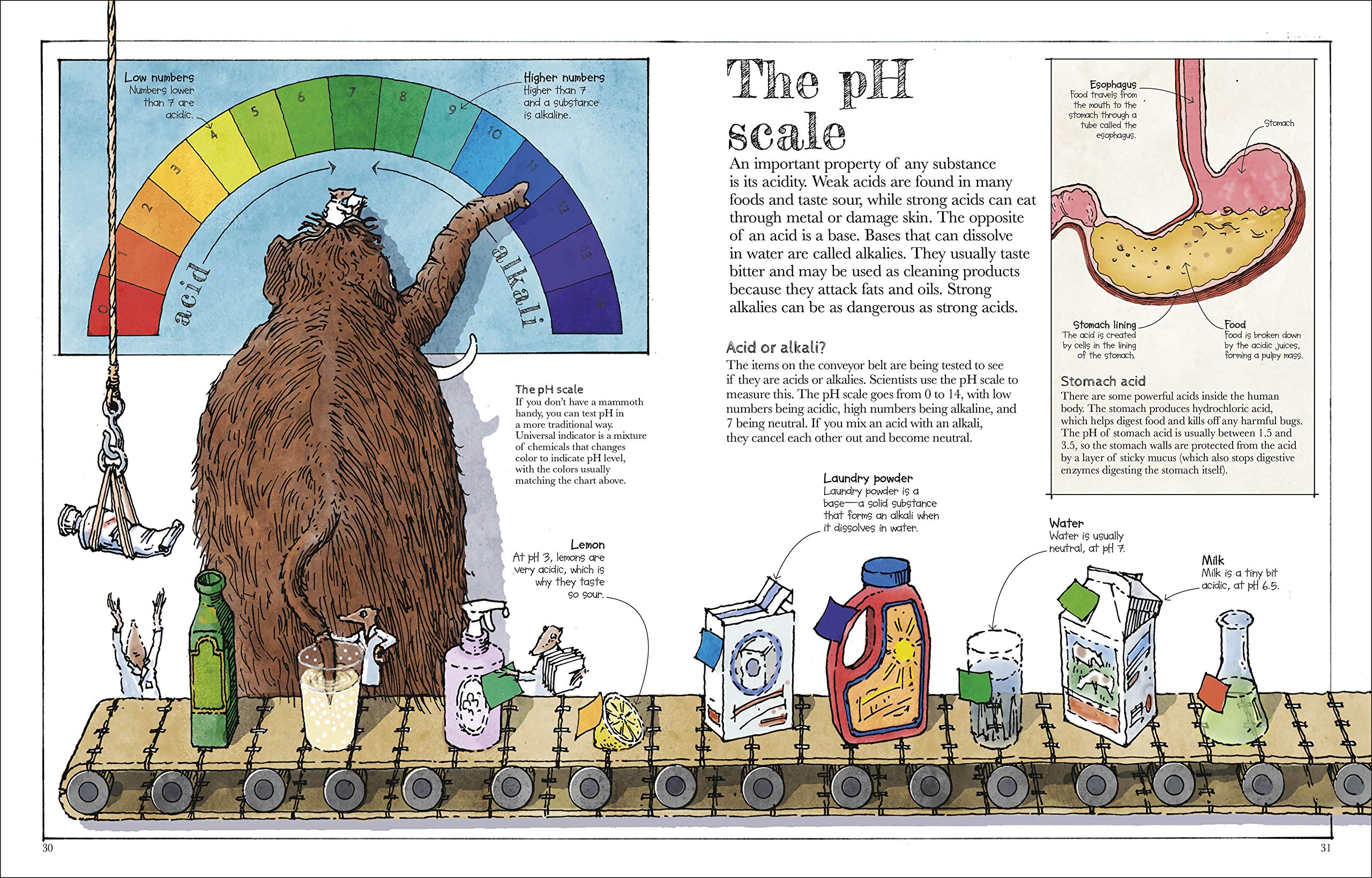 Mammoth Science: The Big Ideas That Explain Our World
