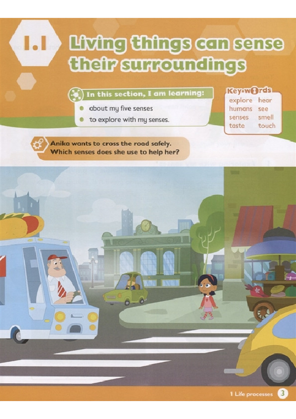 Max Science Primary Grade 3 Student's Book - FAHASA.COM