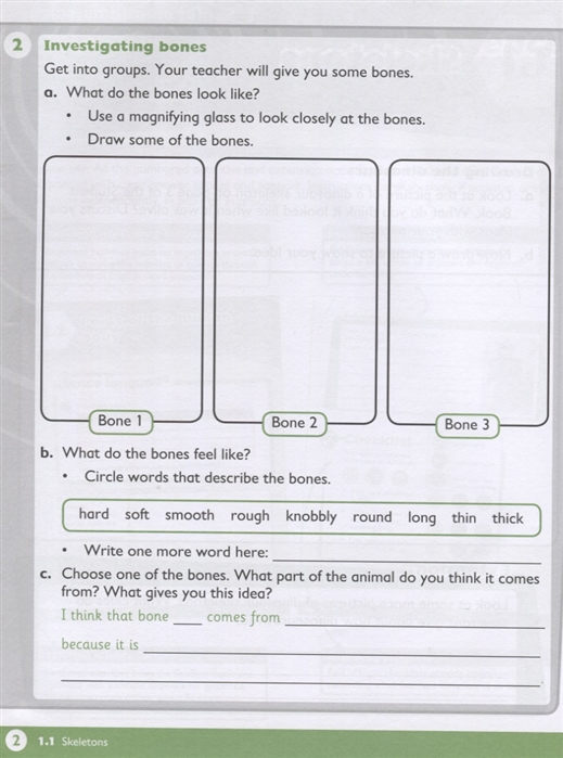 Max Science Primary Grade 4 Workbook - FAHASA.COM
