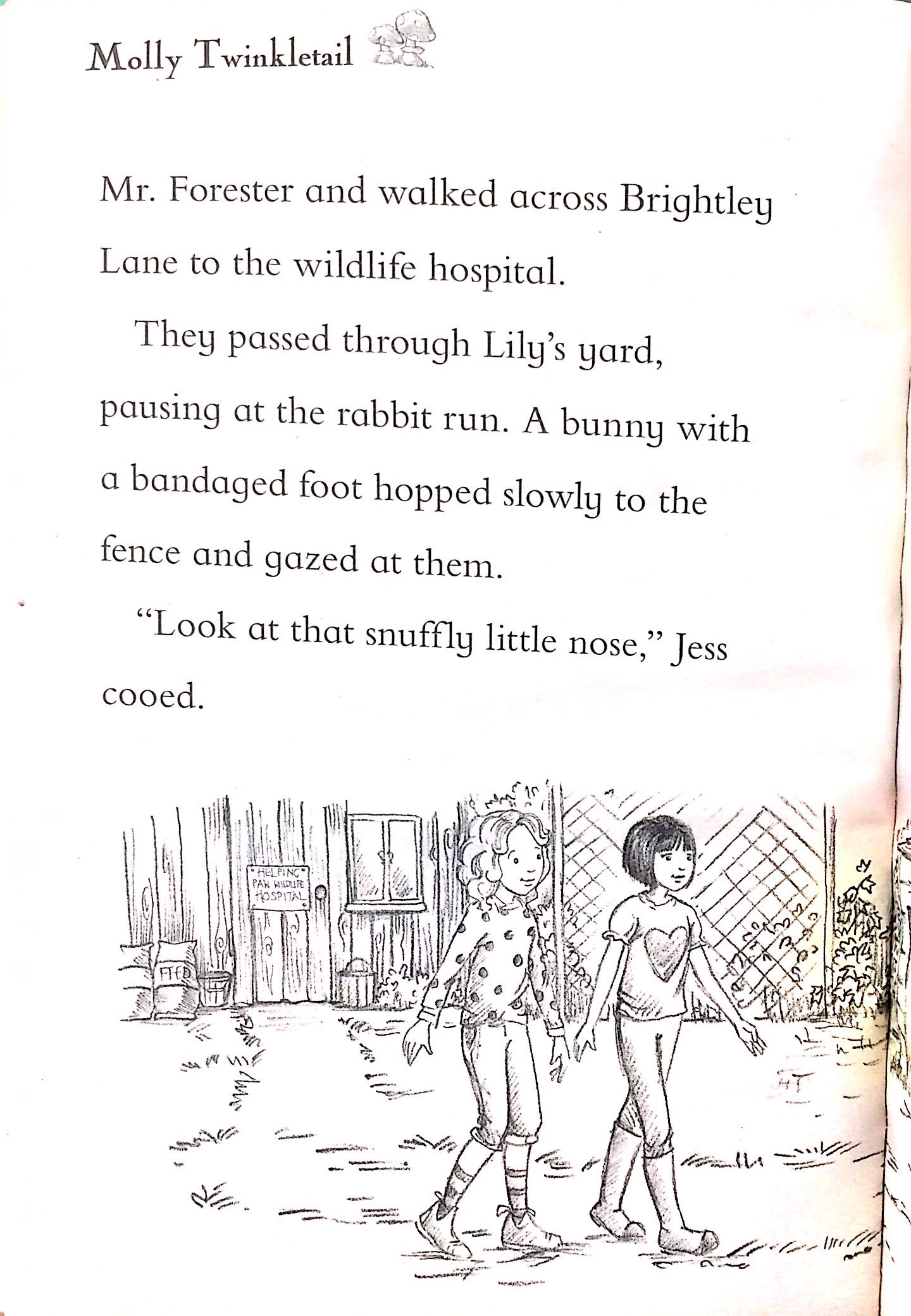 Molly Twinkletail Runs Away (Magic Animal Friends #2)