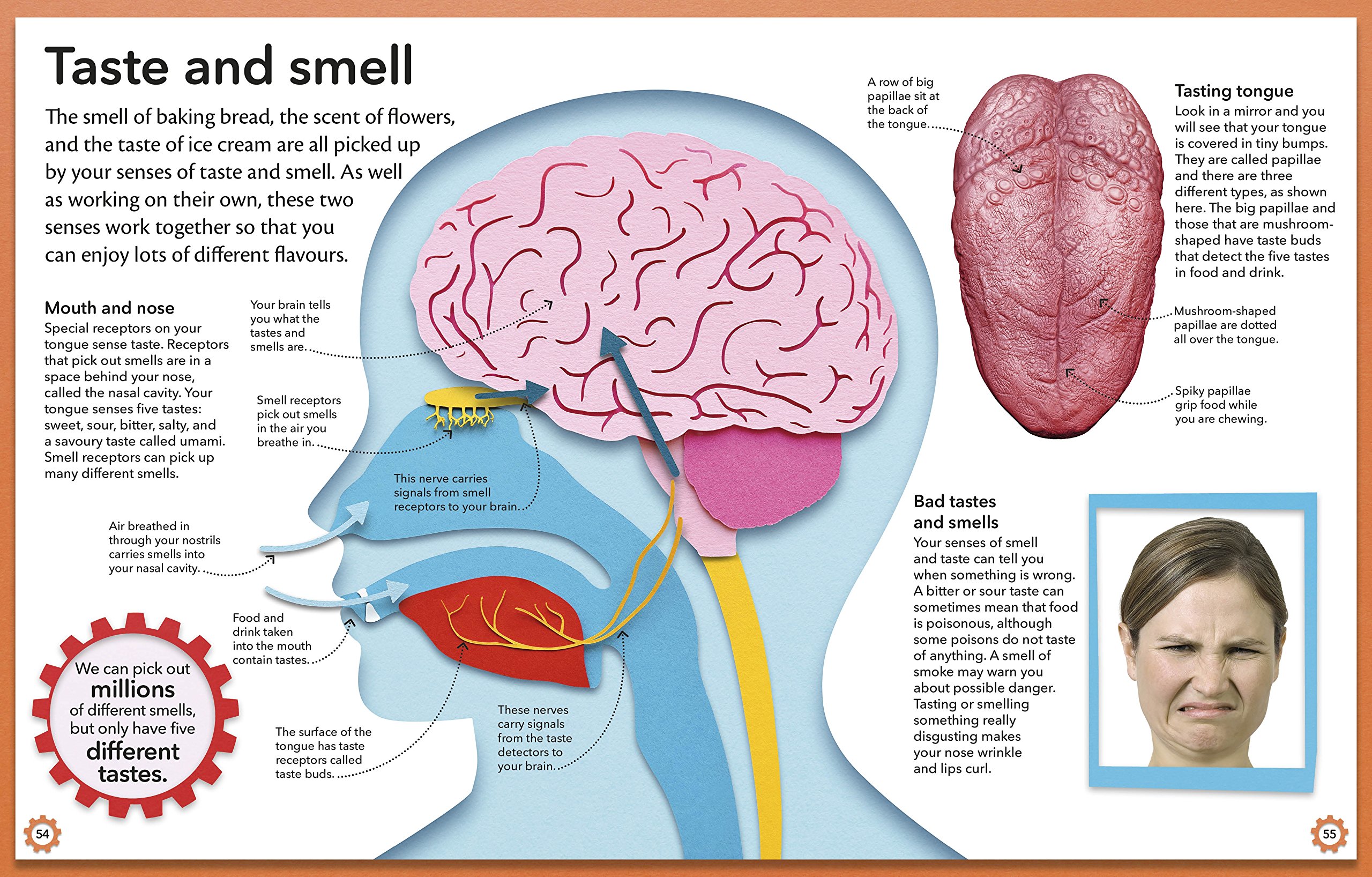 My Amazing Body Machine: A Colourful Visual Guide To How your Body ...