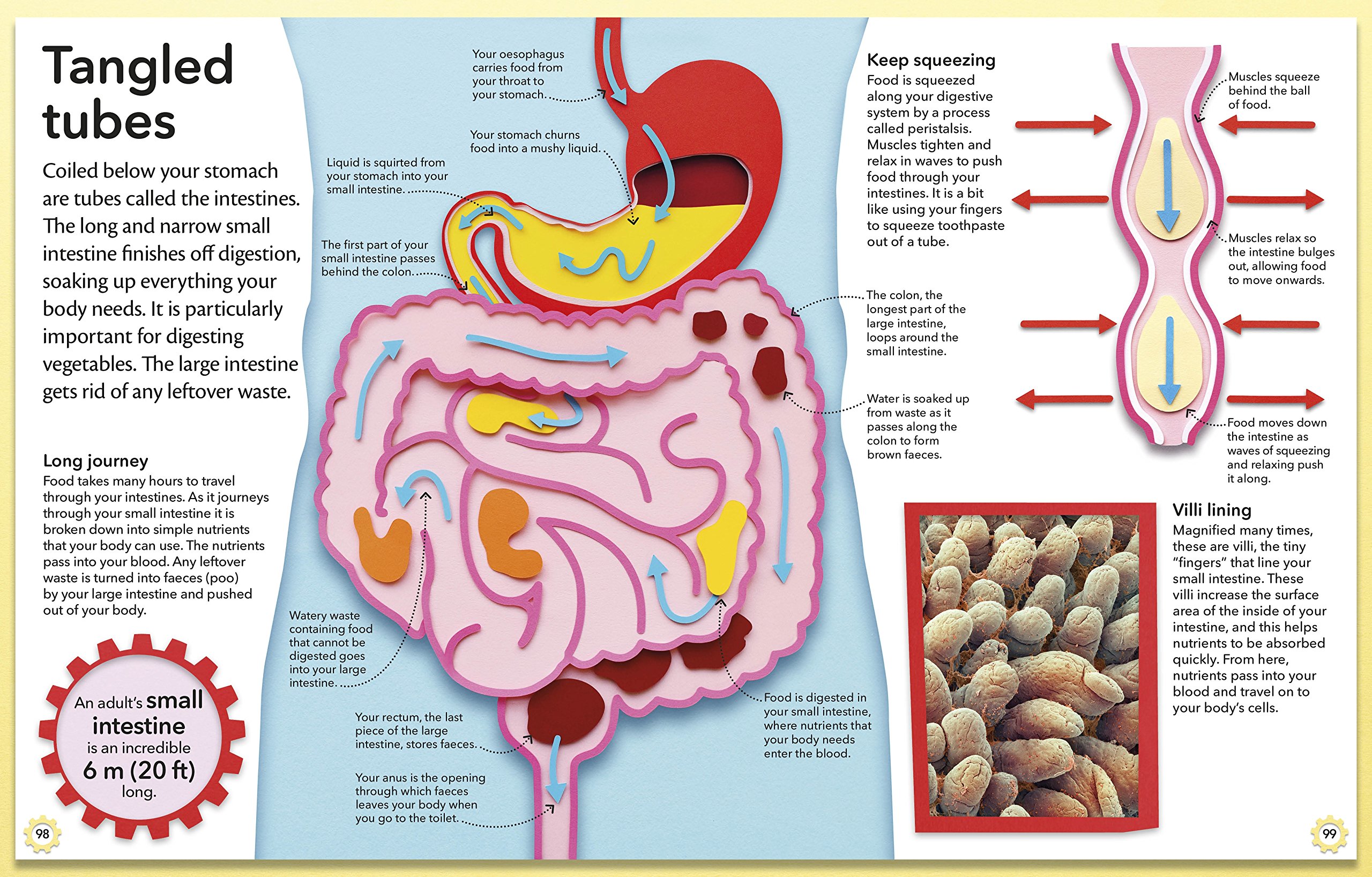 My Amazing Body Machine A Colourful Visual Guide To How Your Body Works My Amazing Body Machine A Colourful Visual Guide To How Your Body Works