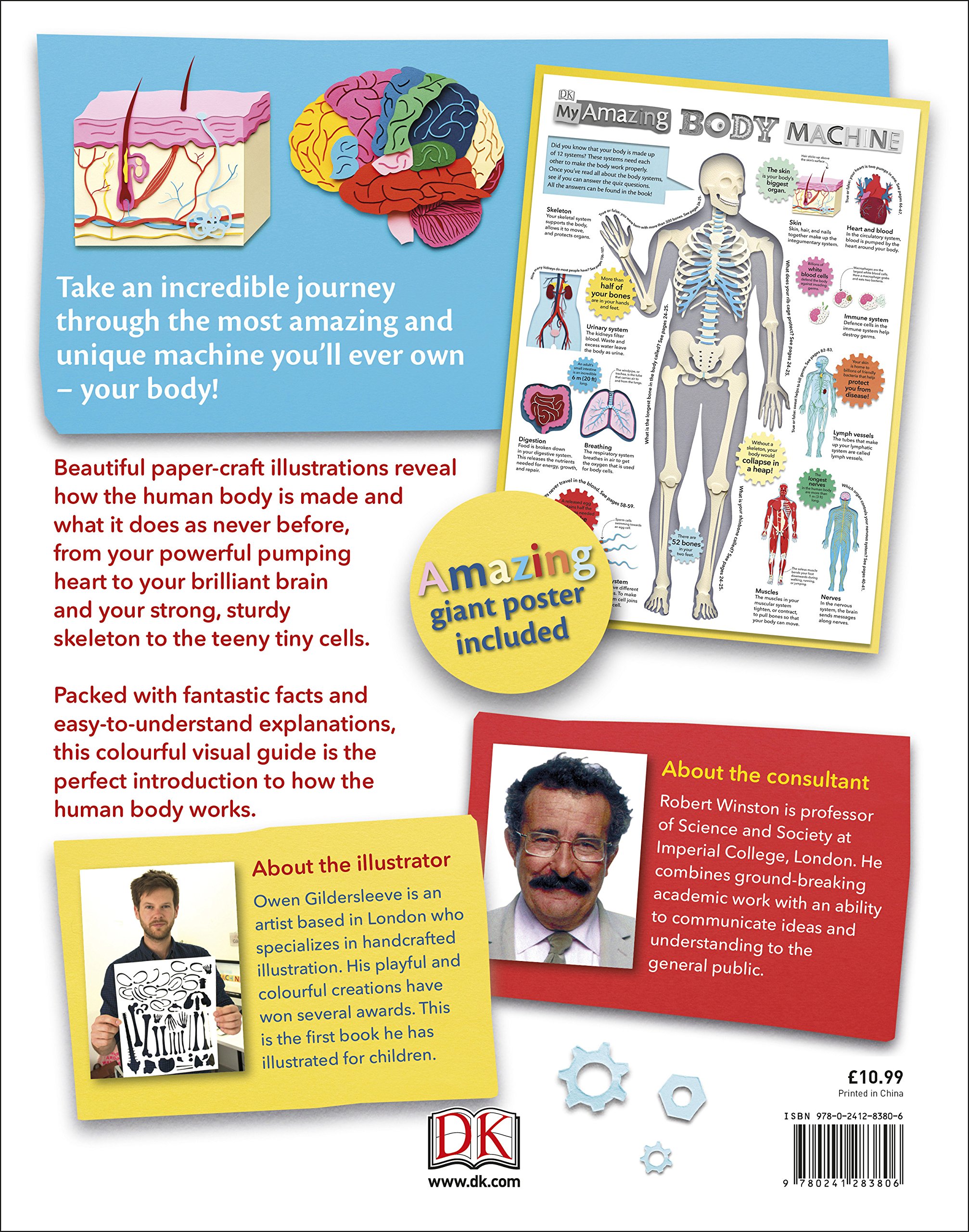 My Amazing Body Machine: A Colourful Visual Guide To How your Body Works