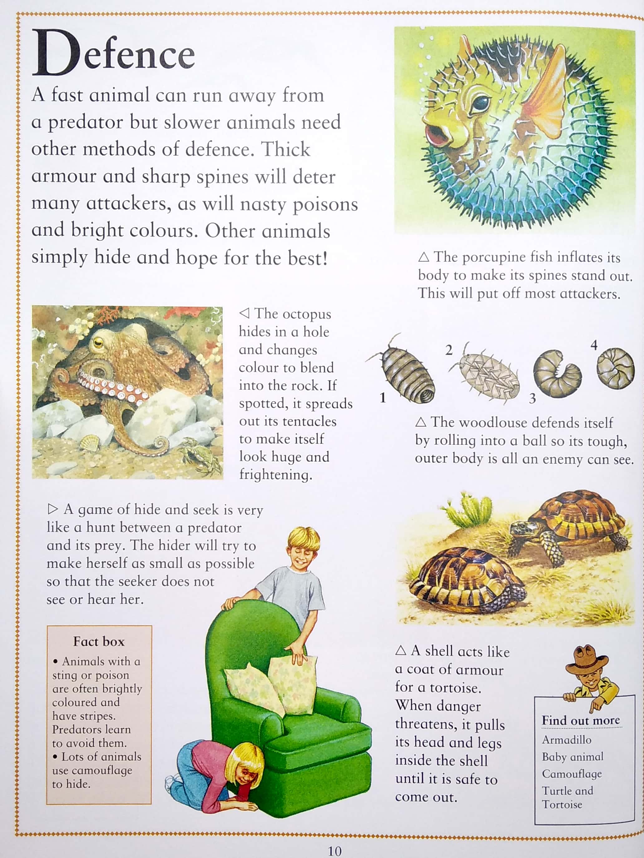 My First Encyclopedia Of Animals (My First Reference...Kingfisher)