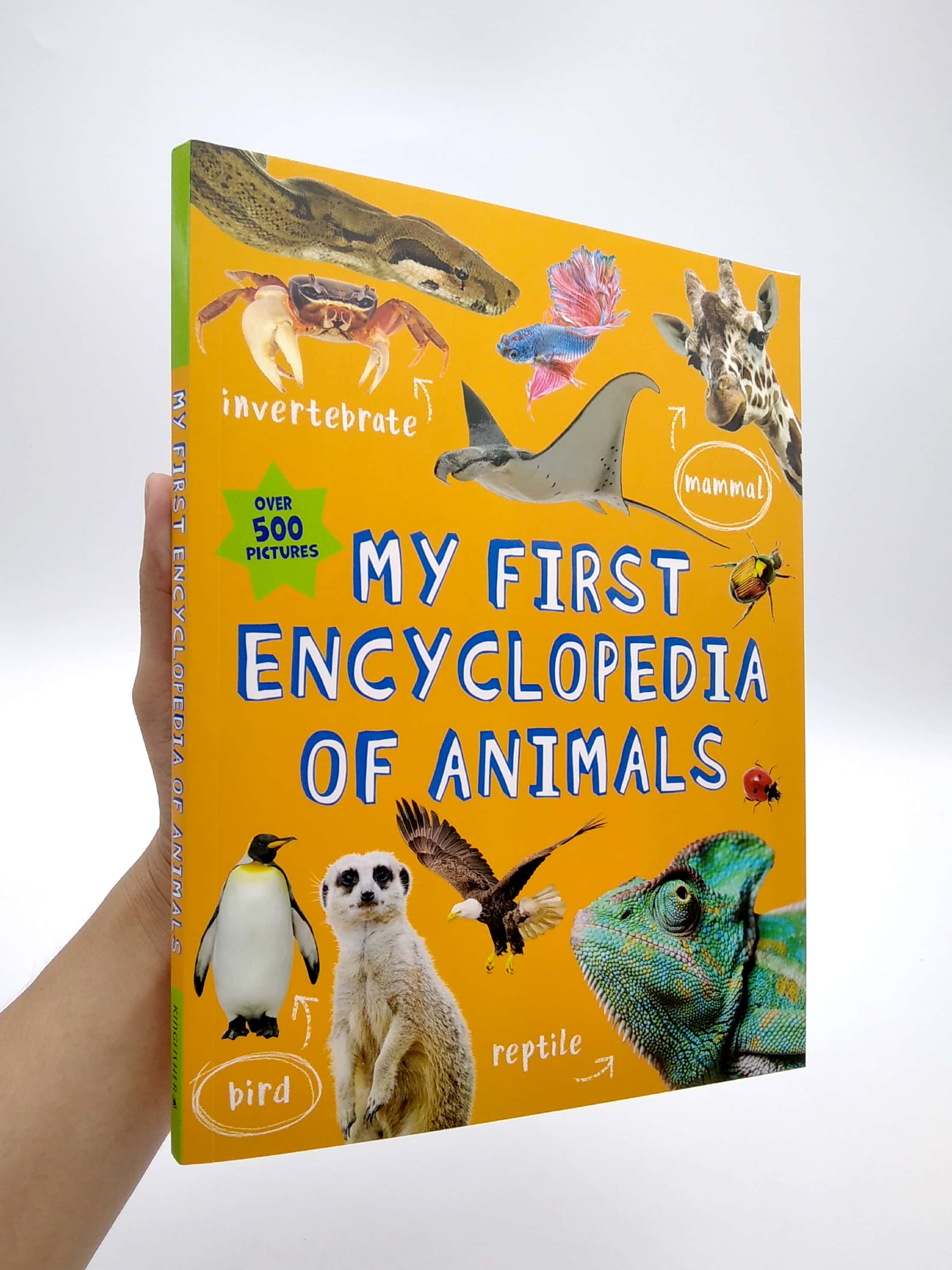 My First Encyclopedia Of Animals (My First Reference...Kingfisher)