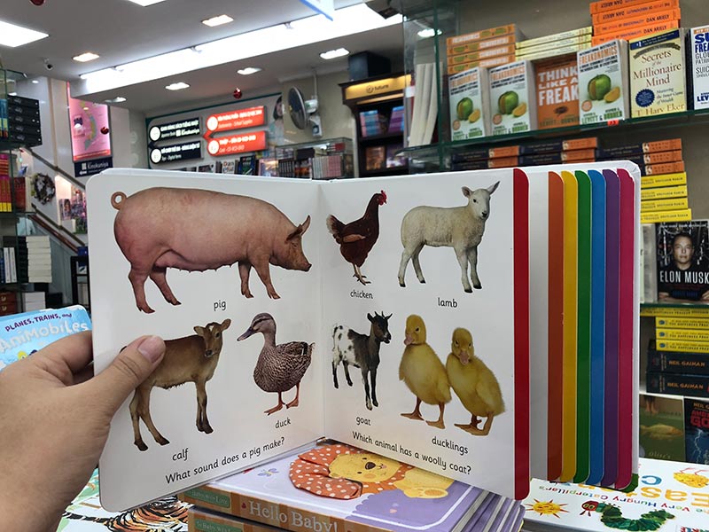 My Little Animal Book