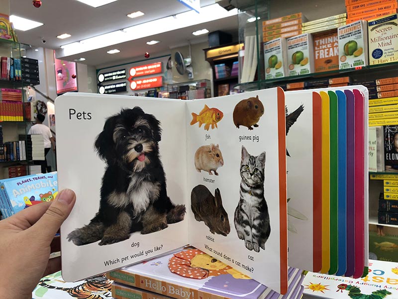 My Little Animal Book