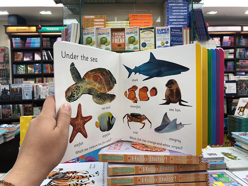 My Little Animal Book