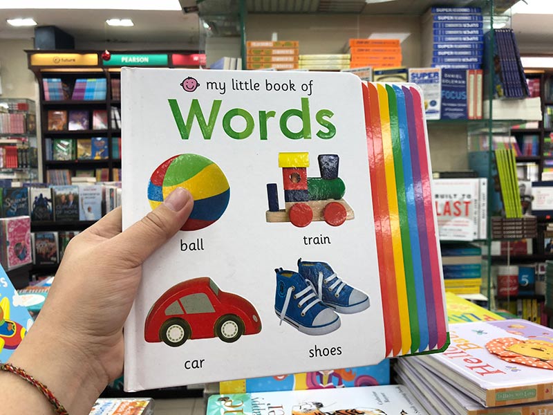 My Little World Book