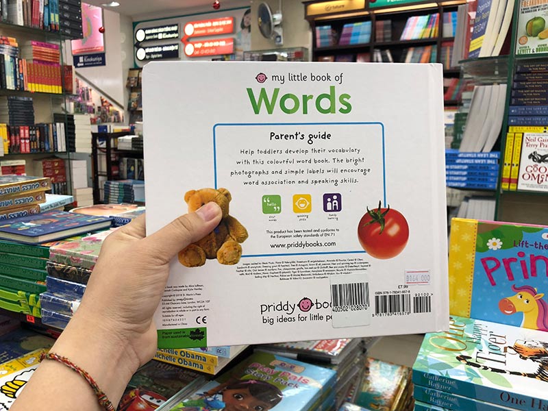 My Little World Book