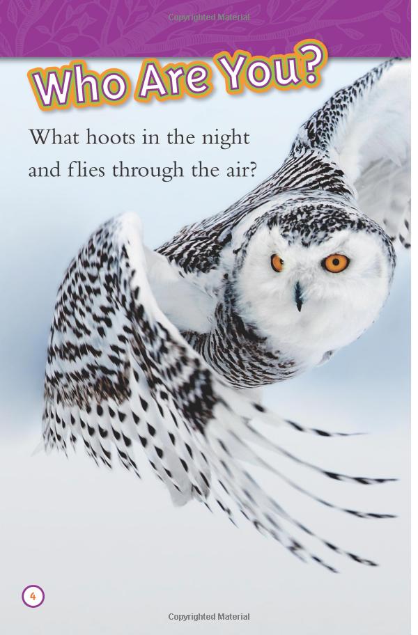 National Geographic Kids Readers: Owls