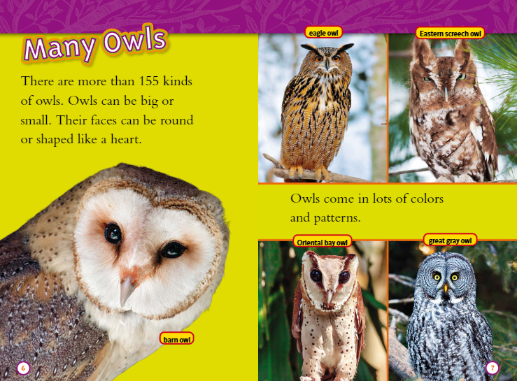 National Geographic Kids Readers: Owls