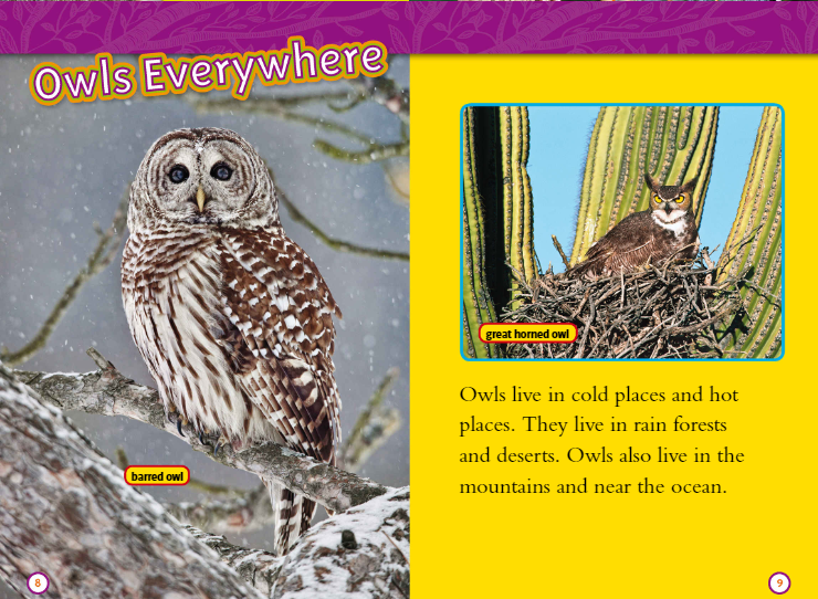 National Geographic Kids Readers: Owls