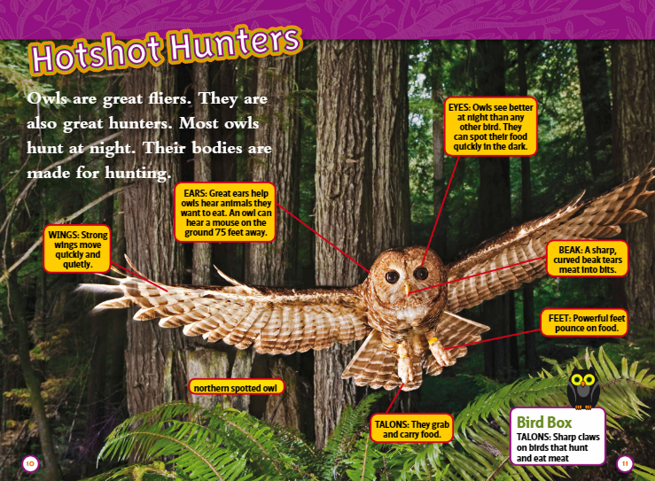 National Geographic Kids Readers: Owls