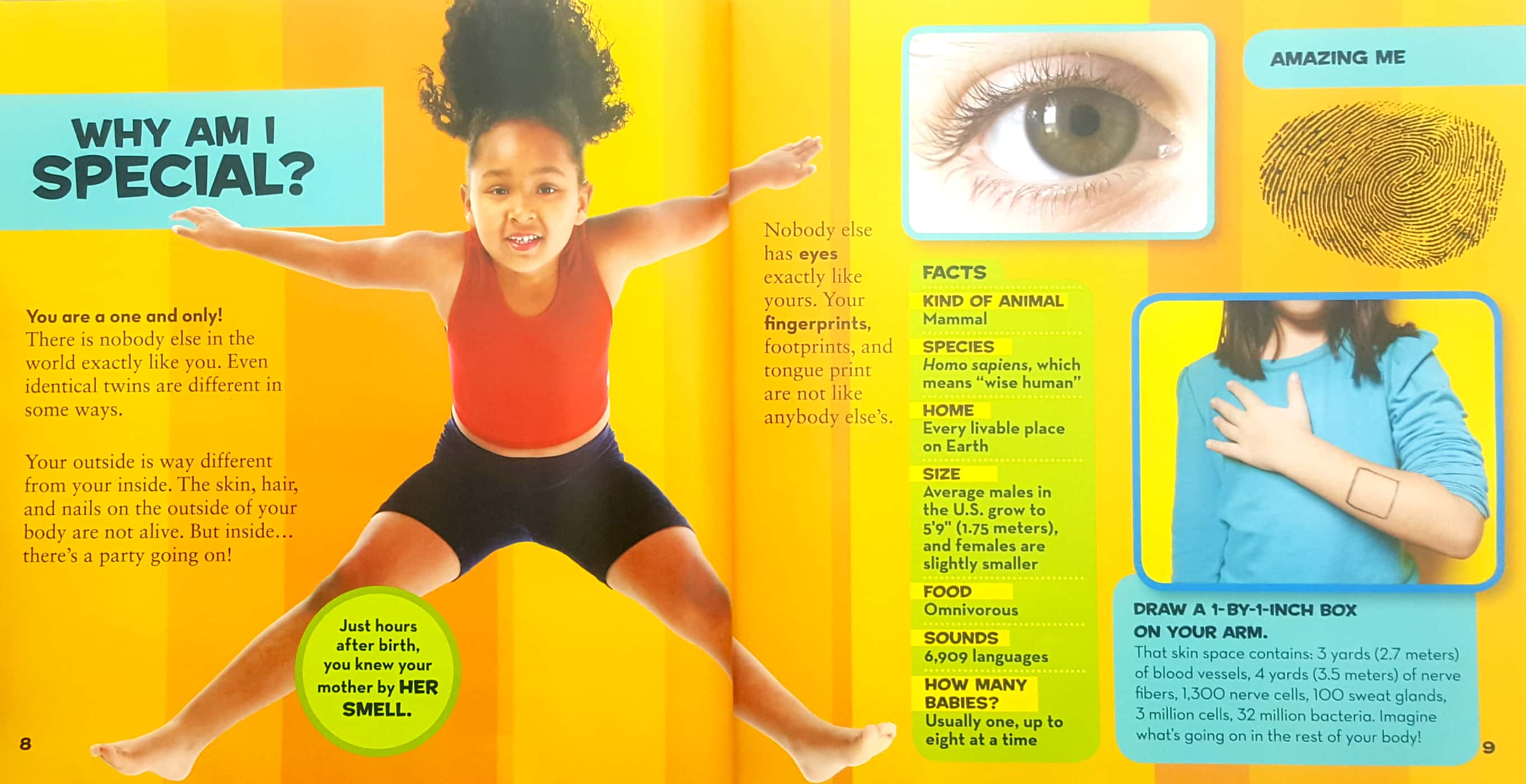 National Geographic Little Kids First Big Book of Why (National ...