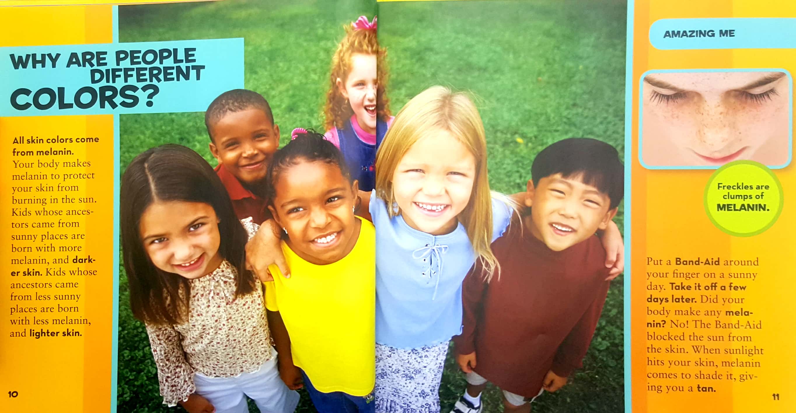 National Geographic Little Kids First Big Book of Why (National ...