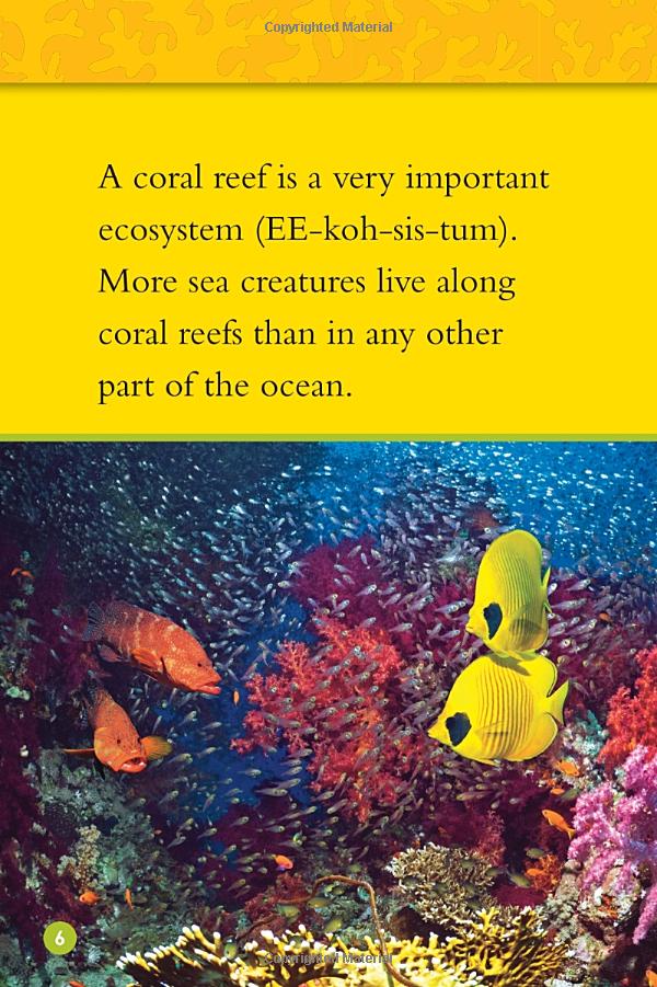 National Geographic Readers: Coral Reefs - FAHASA.COM