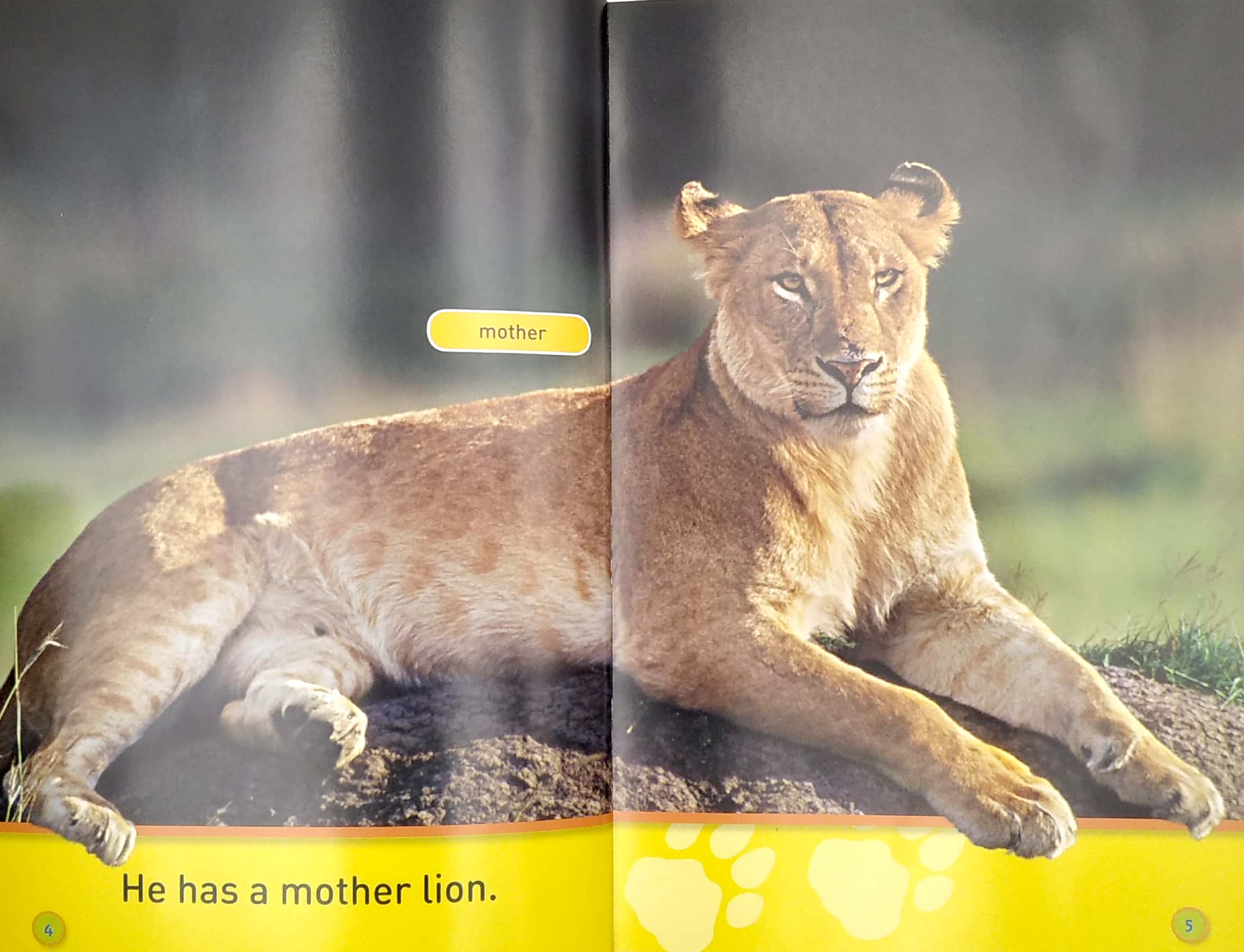 National Geographic Readers Go Cub! - FAHASA.COM