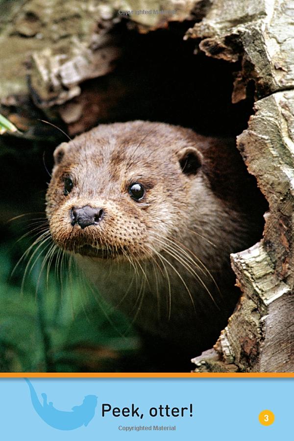 National Geographic Readers: Peek, Otter