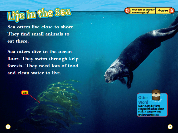 National Geographic Readers: Sea Otters