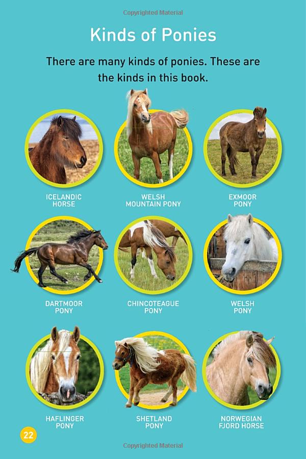 National Geographic Readers: Trot, Pony! - FAHASA.COM