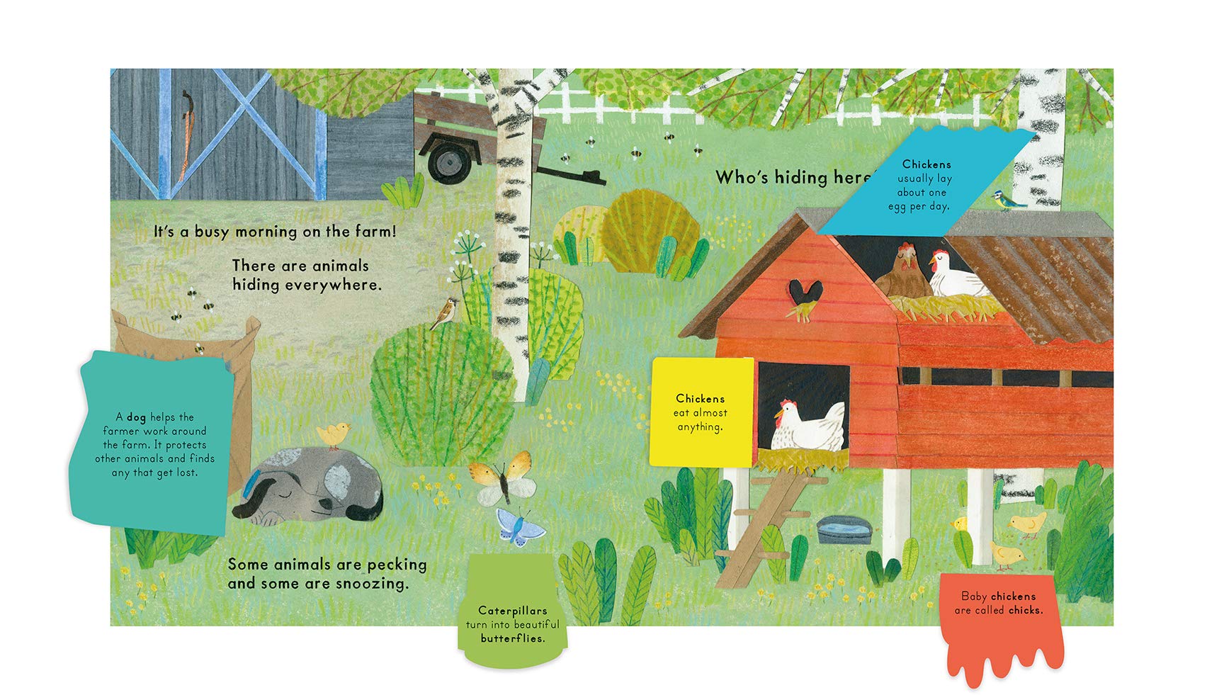 National Trust: Who's Hiding On The Farm?