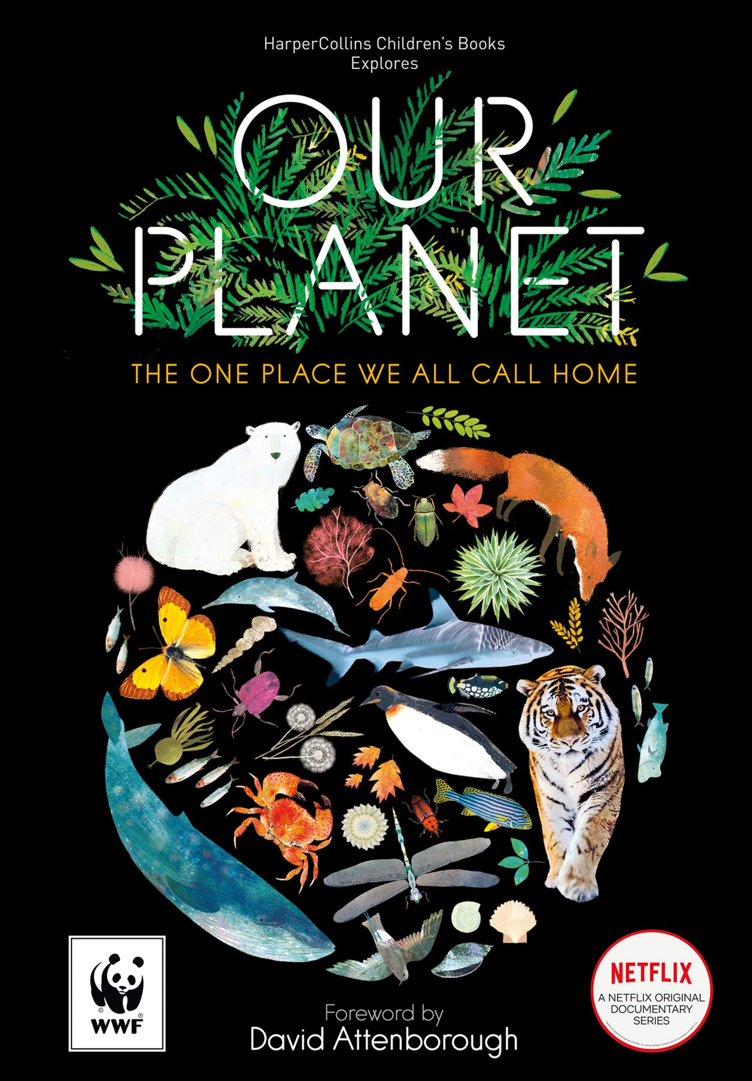 Our Planet: The One Place We All Call Home - FAHASA.COM