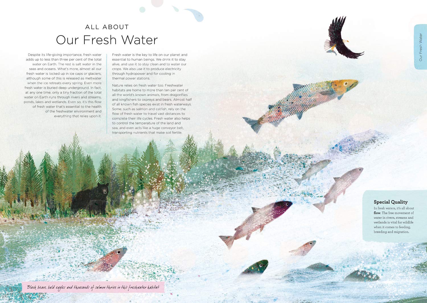 Our Planet: The One Place We All Call Home - FAHASA.COM