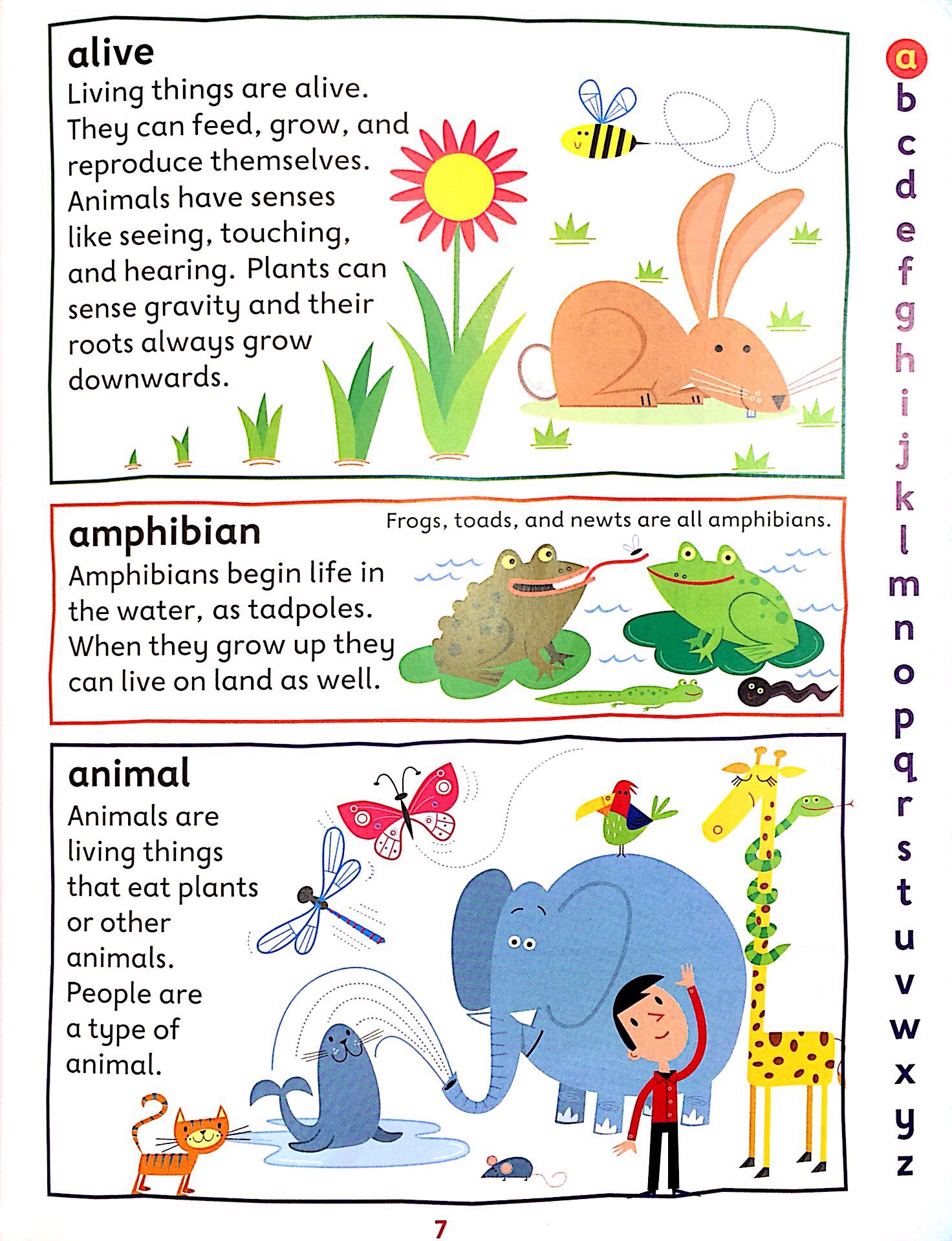 Oxford First Illustrated Science Dictionary - FAHASA.COM