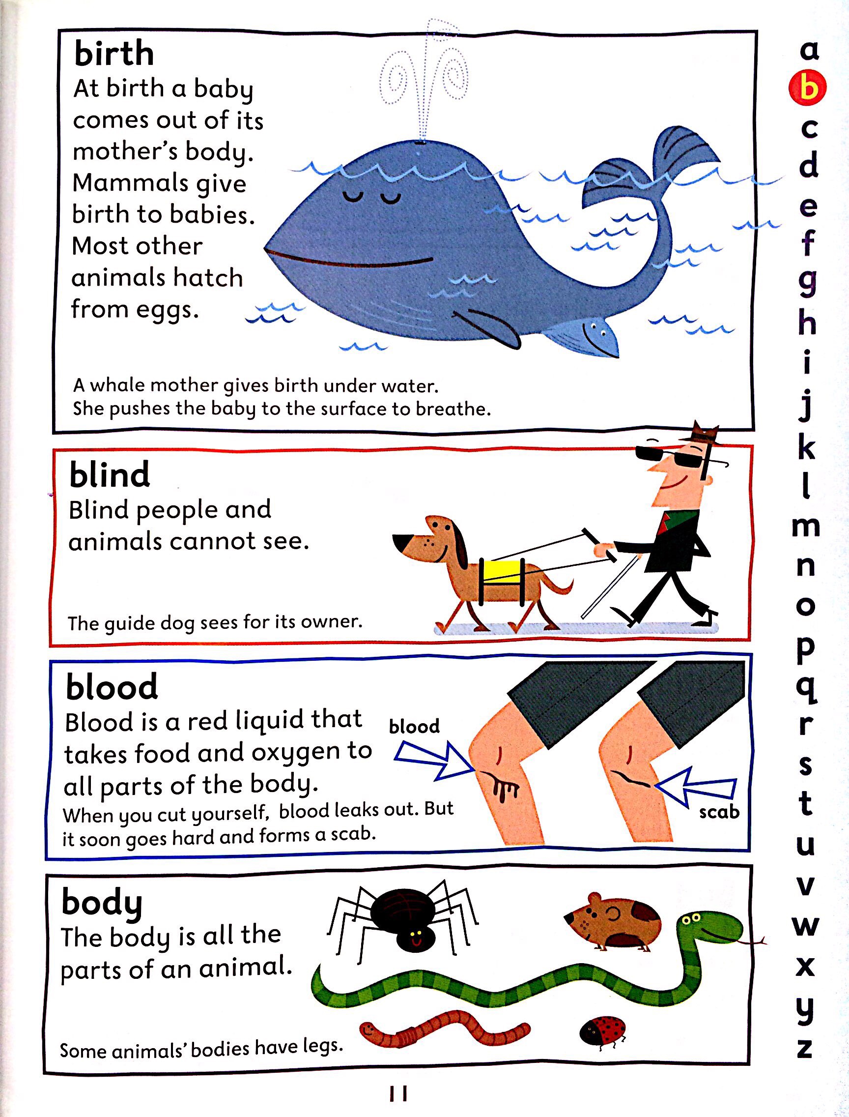Oxford First Illustrated Science Dictionary - FAHASA.COM