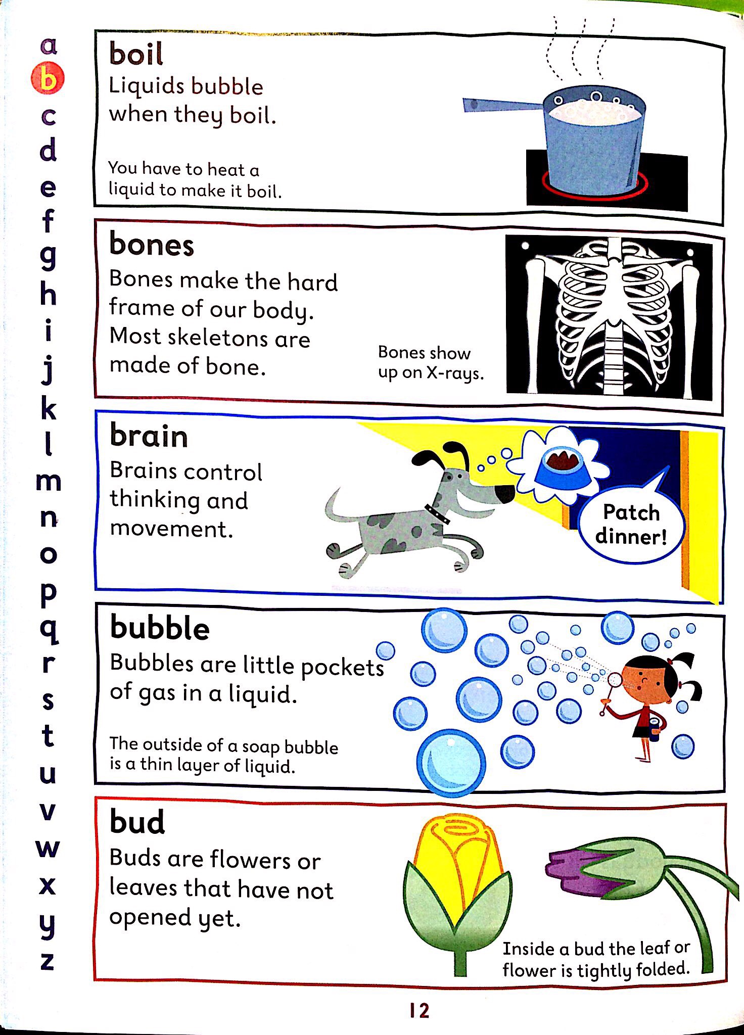 Oxford First Illustrated Science Dictionary - FAHASA.COM