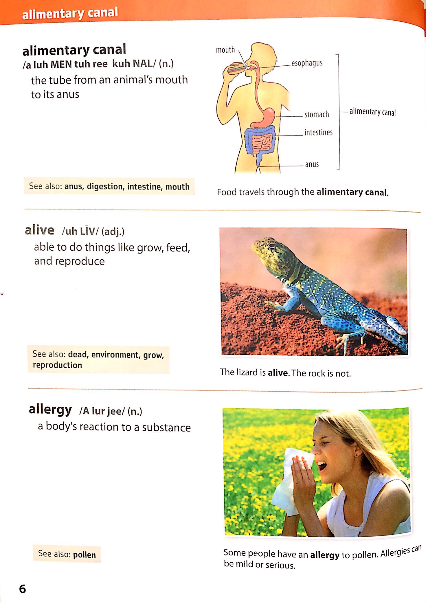 Oxford Illustrated Science Dictionary