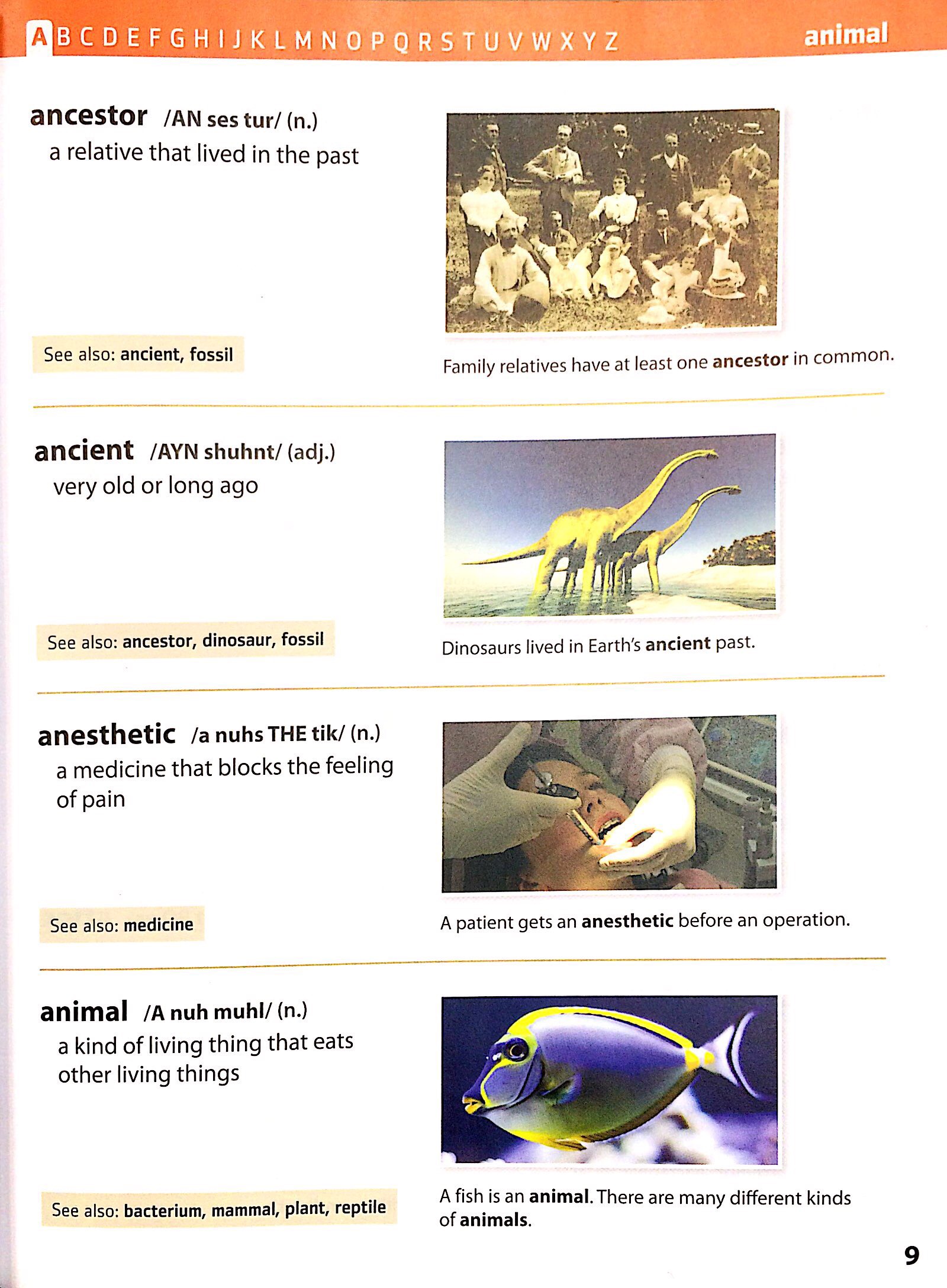 Oxford Illustrated Science Dictionary