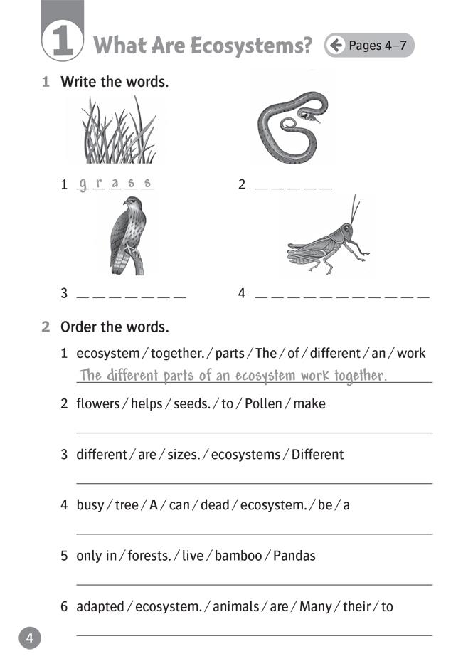 Oxford Read and Discover: Level 6: Wonderful Ecosystems Activity Book ...