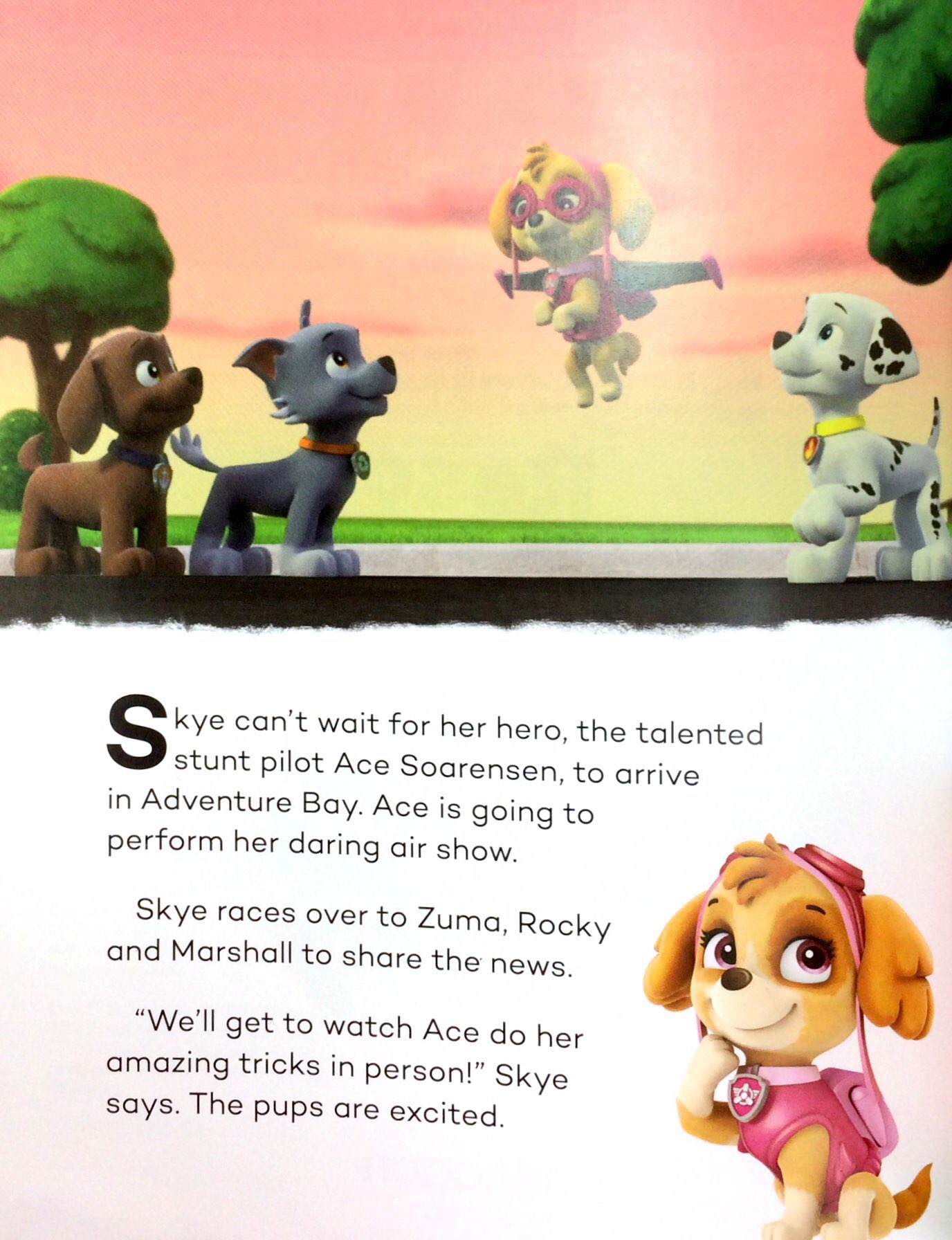 Paw Patrol Skye-High Rescue
