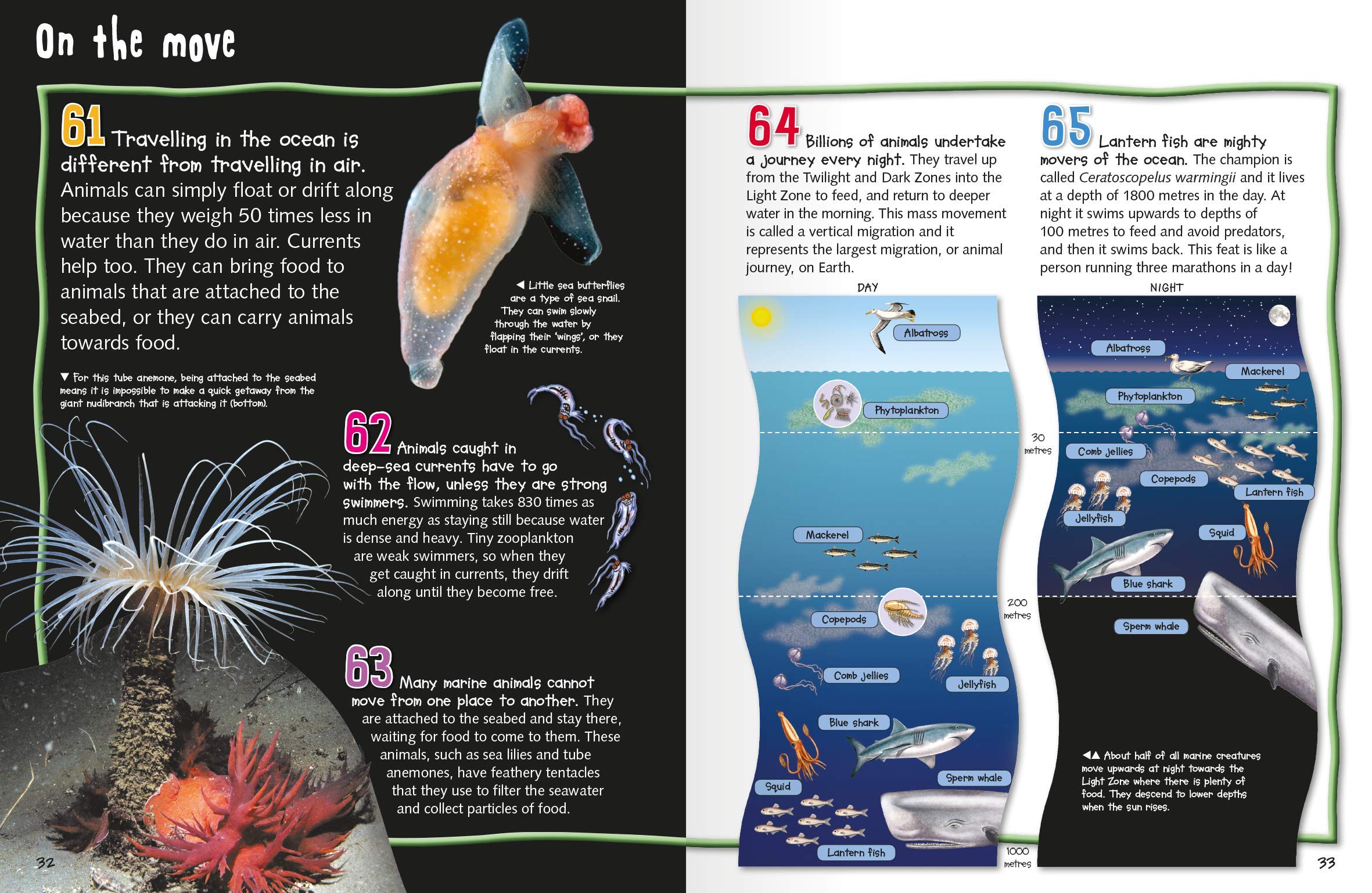 Pocket Edition 100 Facts Deep Ocean - FAHASA.COM