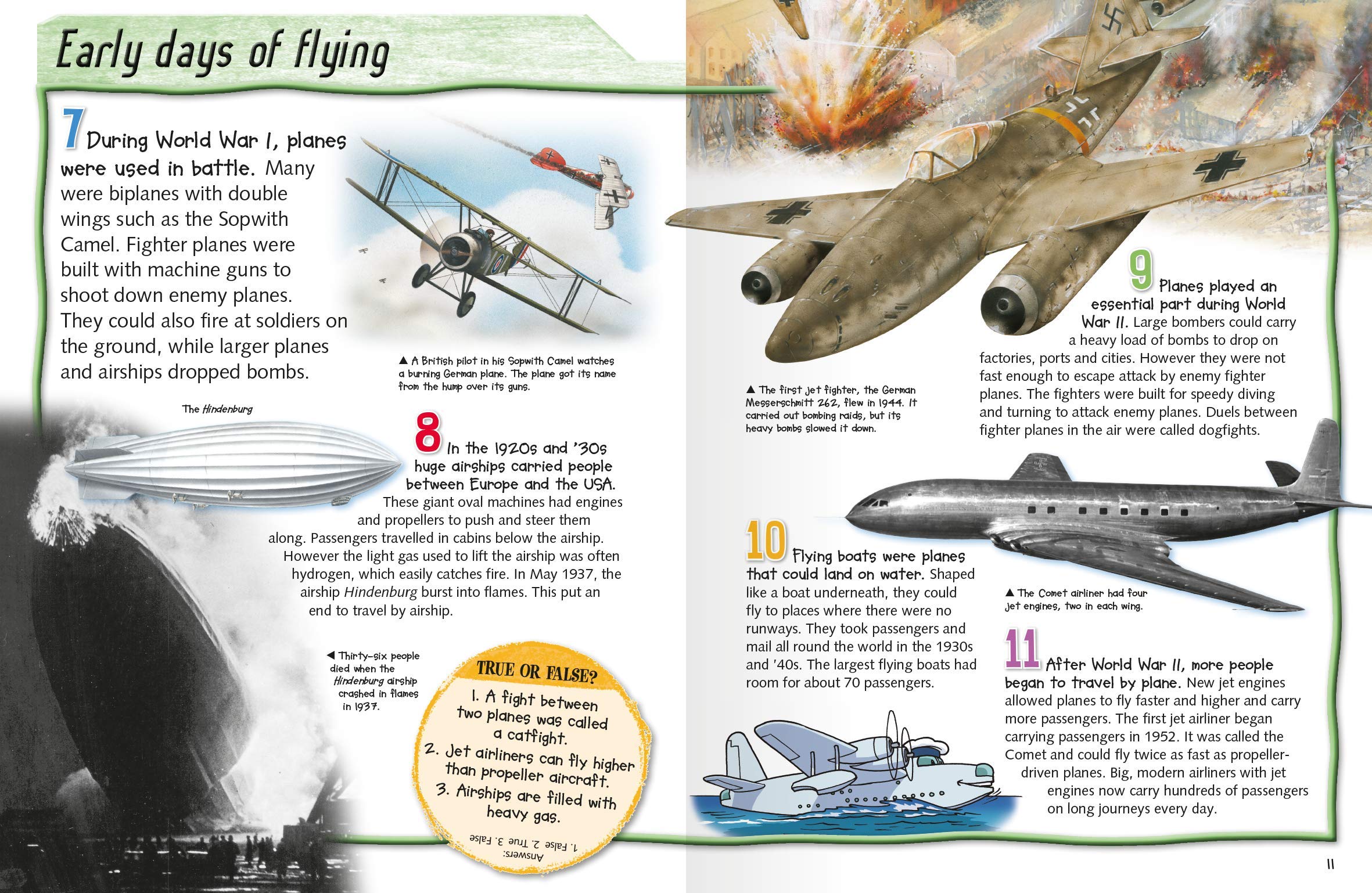 Pocket Edition 100 Facts Flight