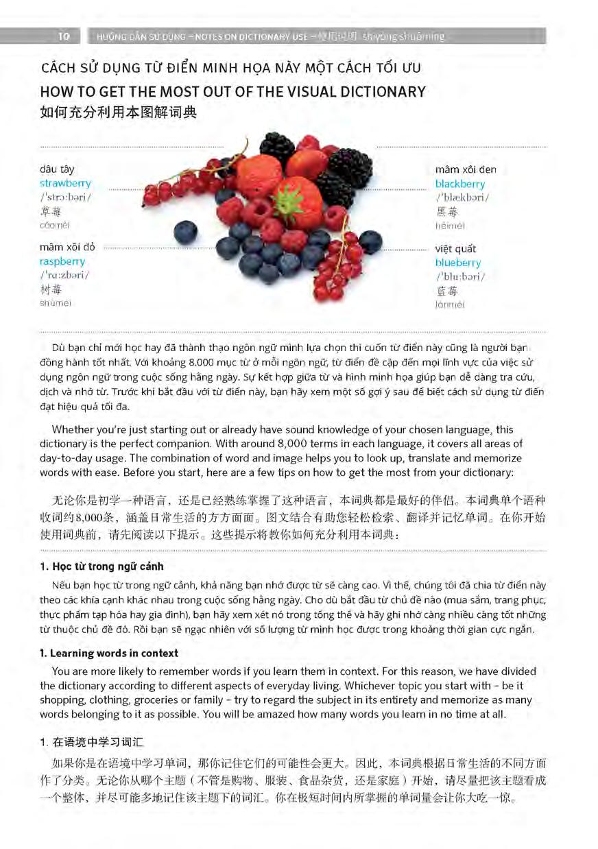 Pons General Reference - Trilingual Visual Dictionary Vietnamese ...