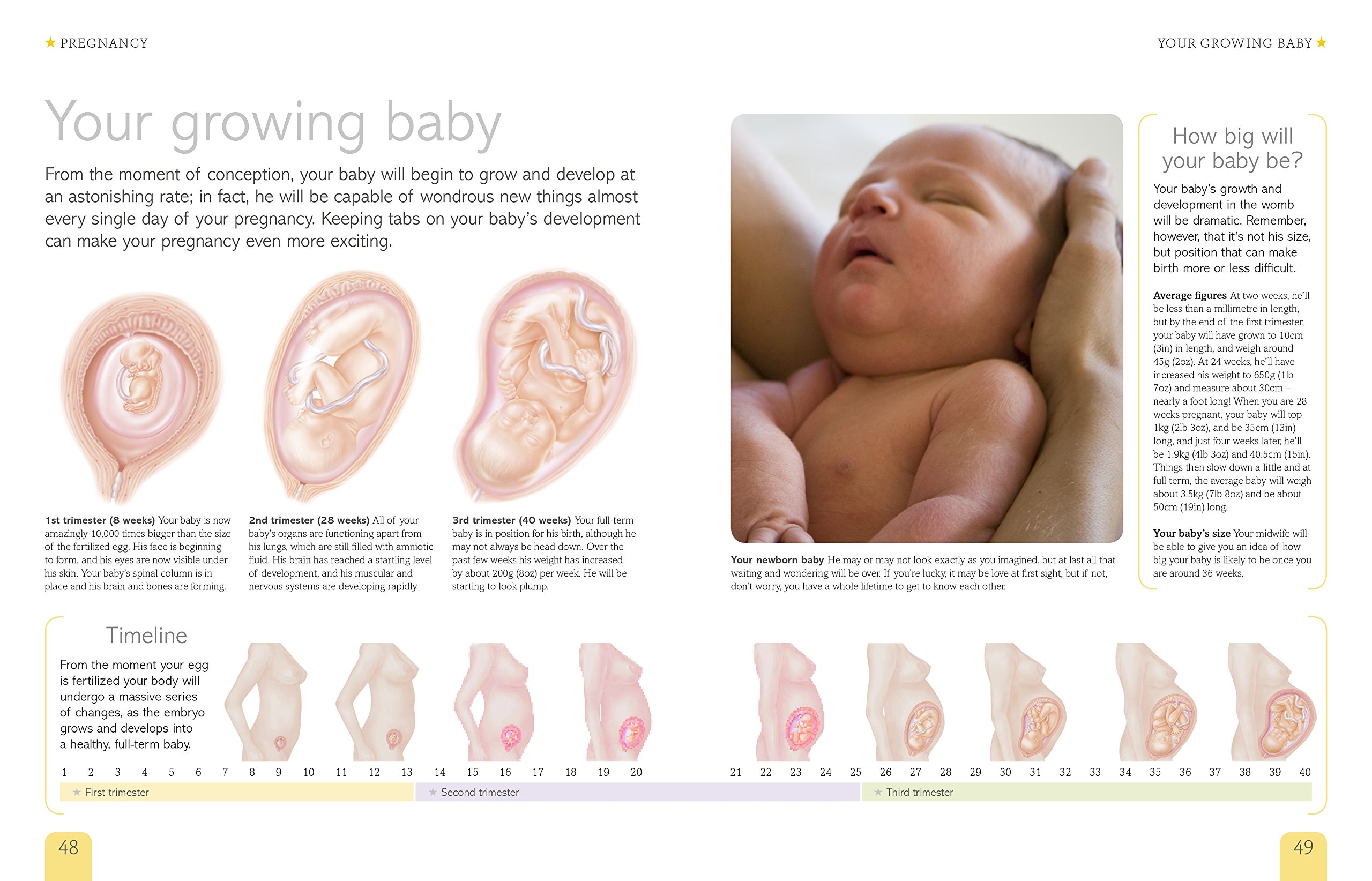 Pregnancy and Birth Everything You Need to Know