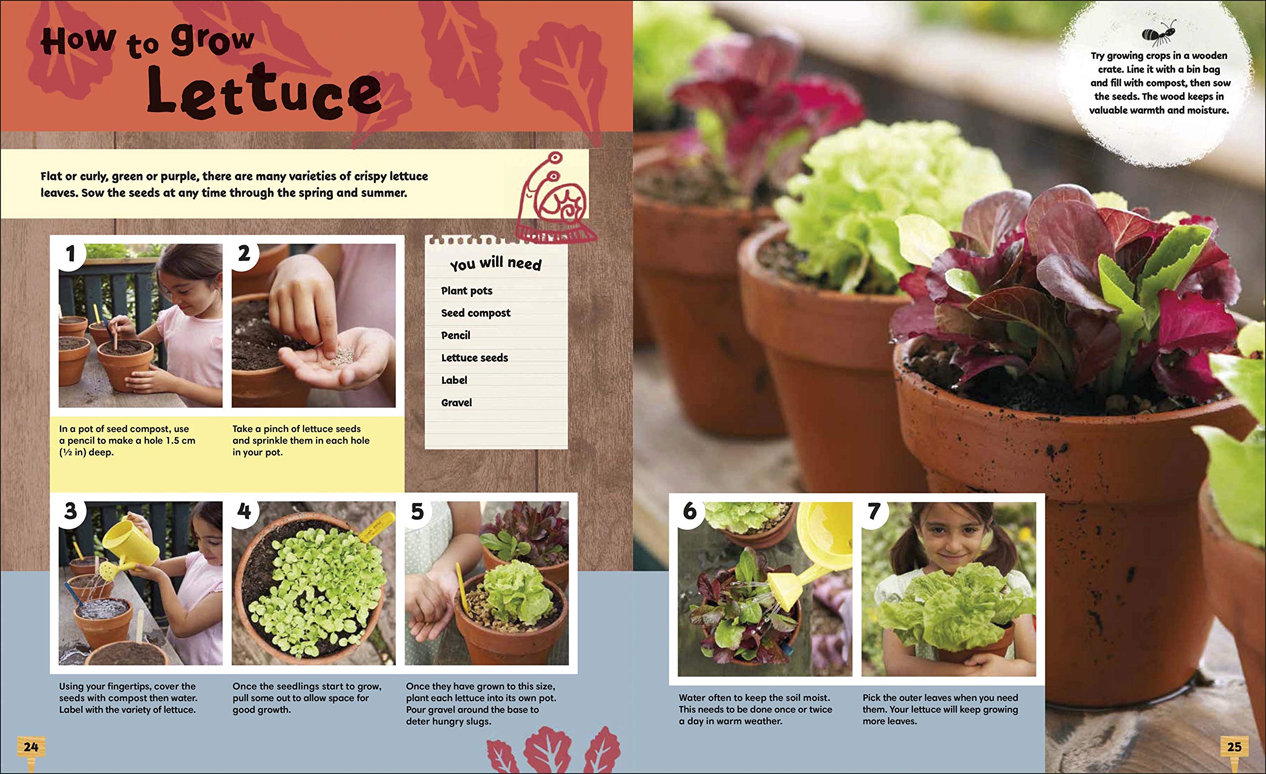 RHS Let's Get Gardening